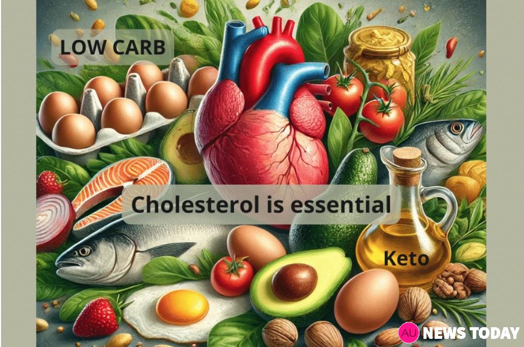 Cholesterol and Inflammation – What Really Causes Vascular Disease ...